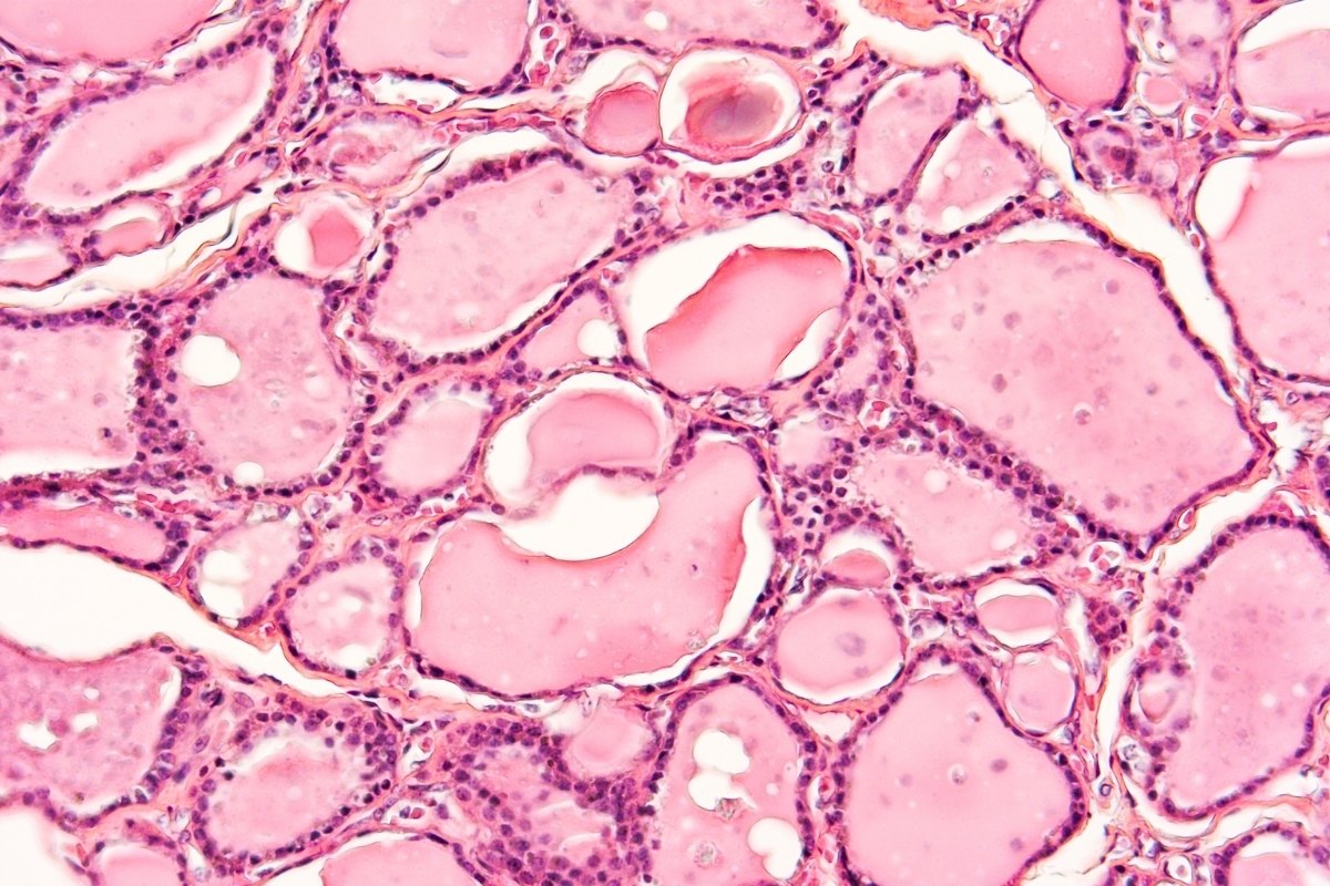 BPC-157 and Tissue Repair: What the Research Shows